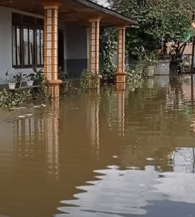 Borneo climate crisis emergency | earthbeat