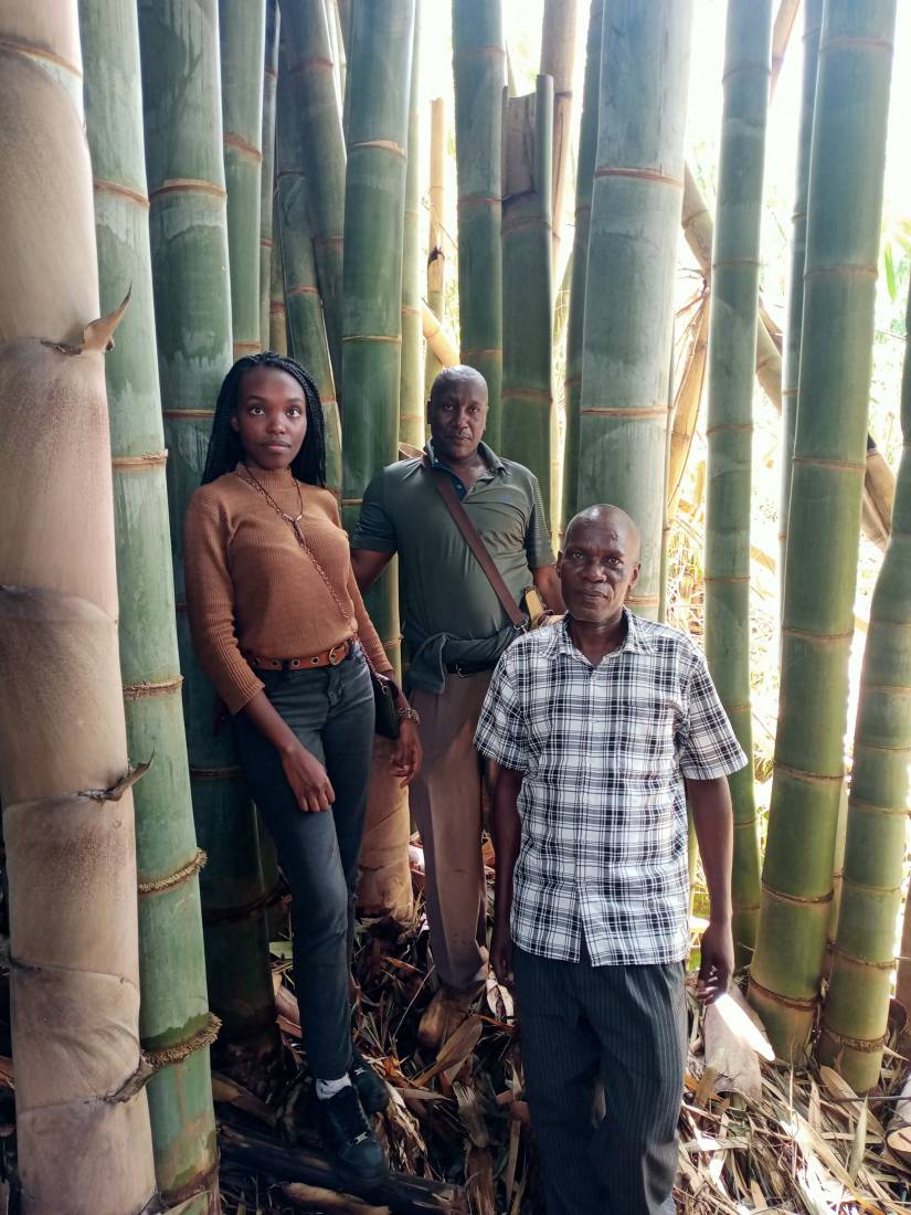 Resilience through bamboo | earthbeat